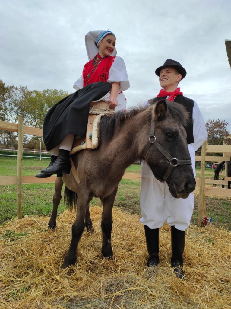 DALMATINSKI BUŠAK - ULJUDBA - Dalmatinskog Bušaka